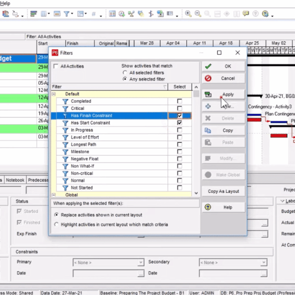 Oracle Primavera P6 Professional v24.12 Lifetime Activation - Purchase ...